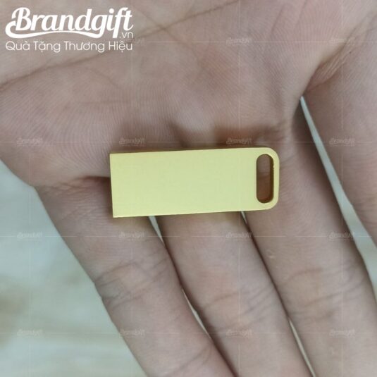 USB In Logo Làm Quà Tặng Quảng Cáo [GIÁ TỐT NHẤT]